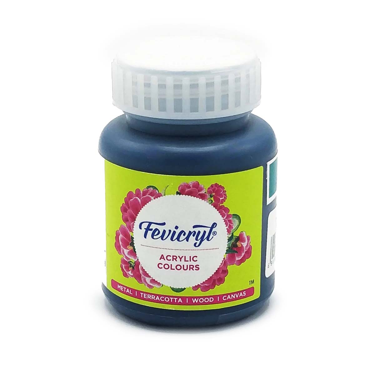 Fevicryl Acrylic Colour | 100 ml | Turquoise Blue 22
