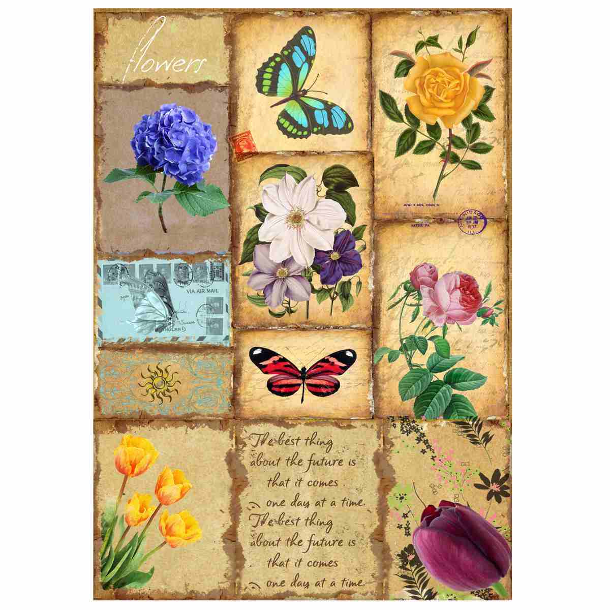 JAGS Printed Design Paper A4 6 Designs 24 Sheets 190 gsm - Vintage Shabby